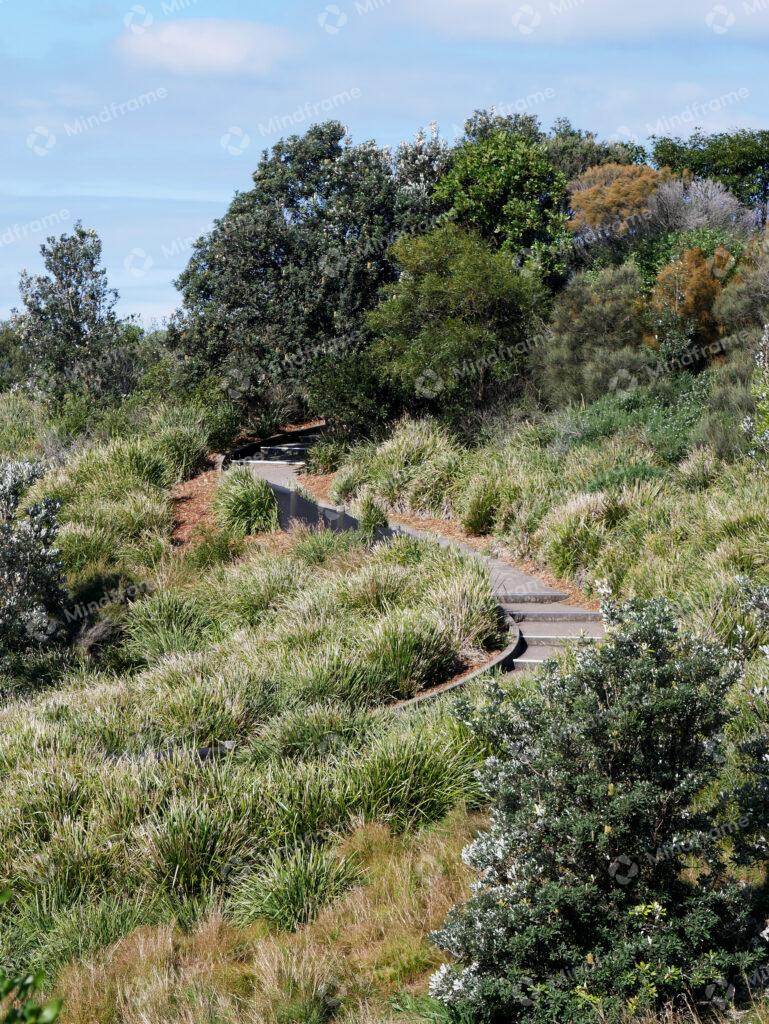Bushland pathways portrait – Mindframe online image collection